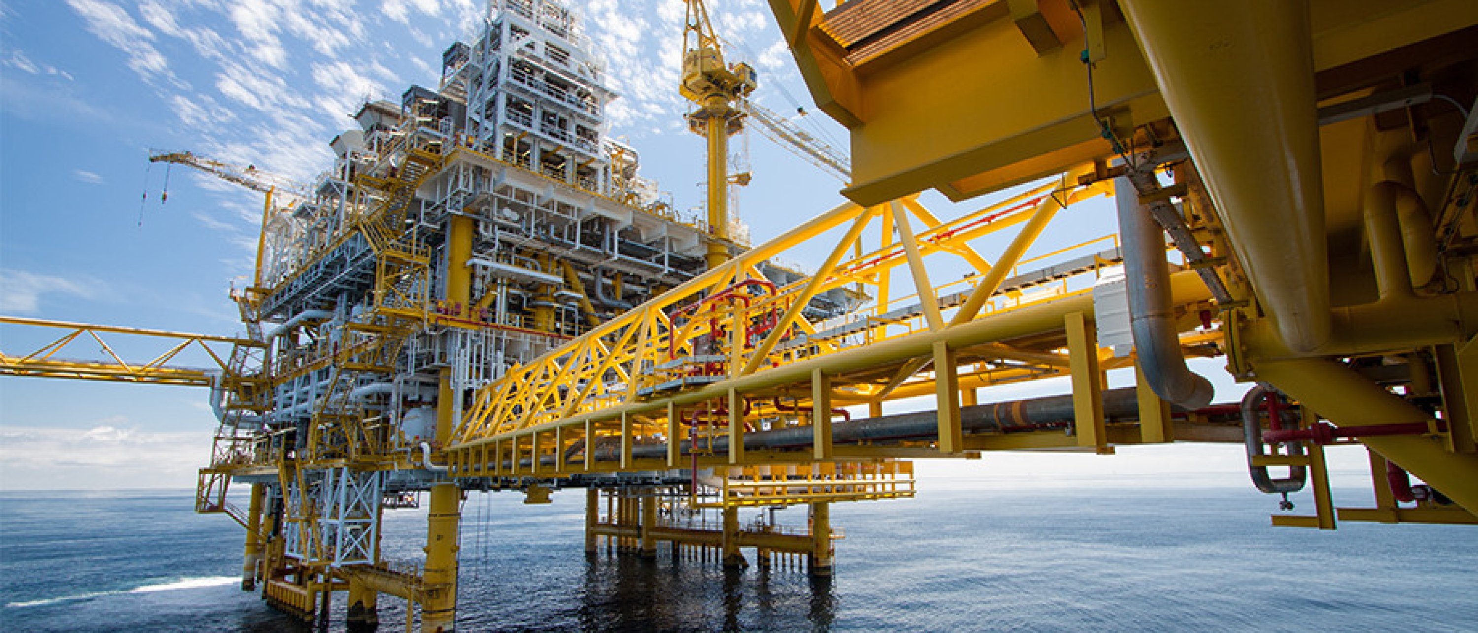 Genesis | Capabilities | Integrated Production System Modelling